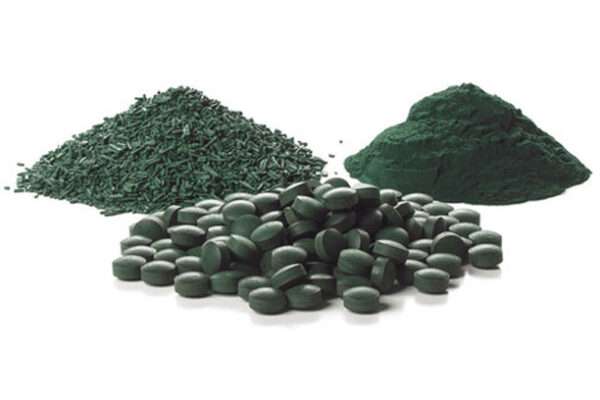 Our Services - Algae Products International