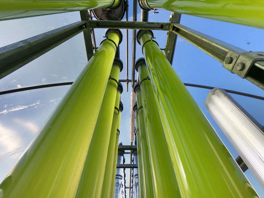 About Us - Algae Products International