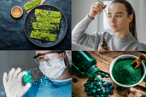 Microalgae: The Future of Sustainability - Algae Products International