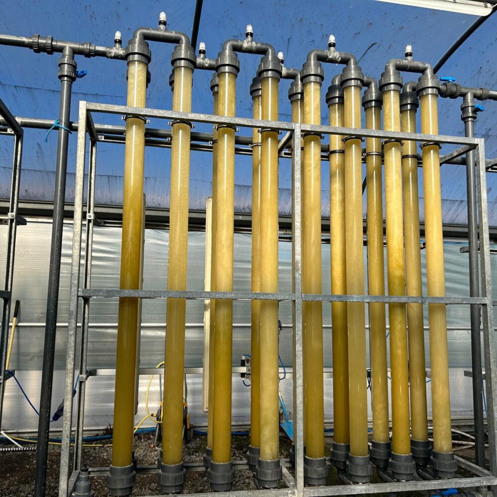 Home - Algae Products International